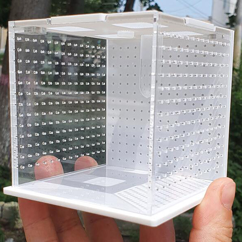 1 Set Clear Acrylic Cage Habitat Insect Feeding Box Escape Proof For ...