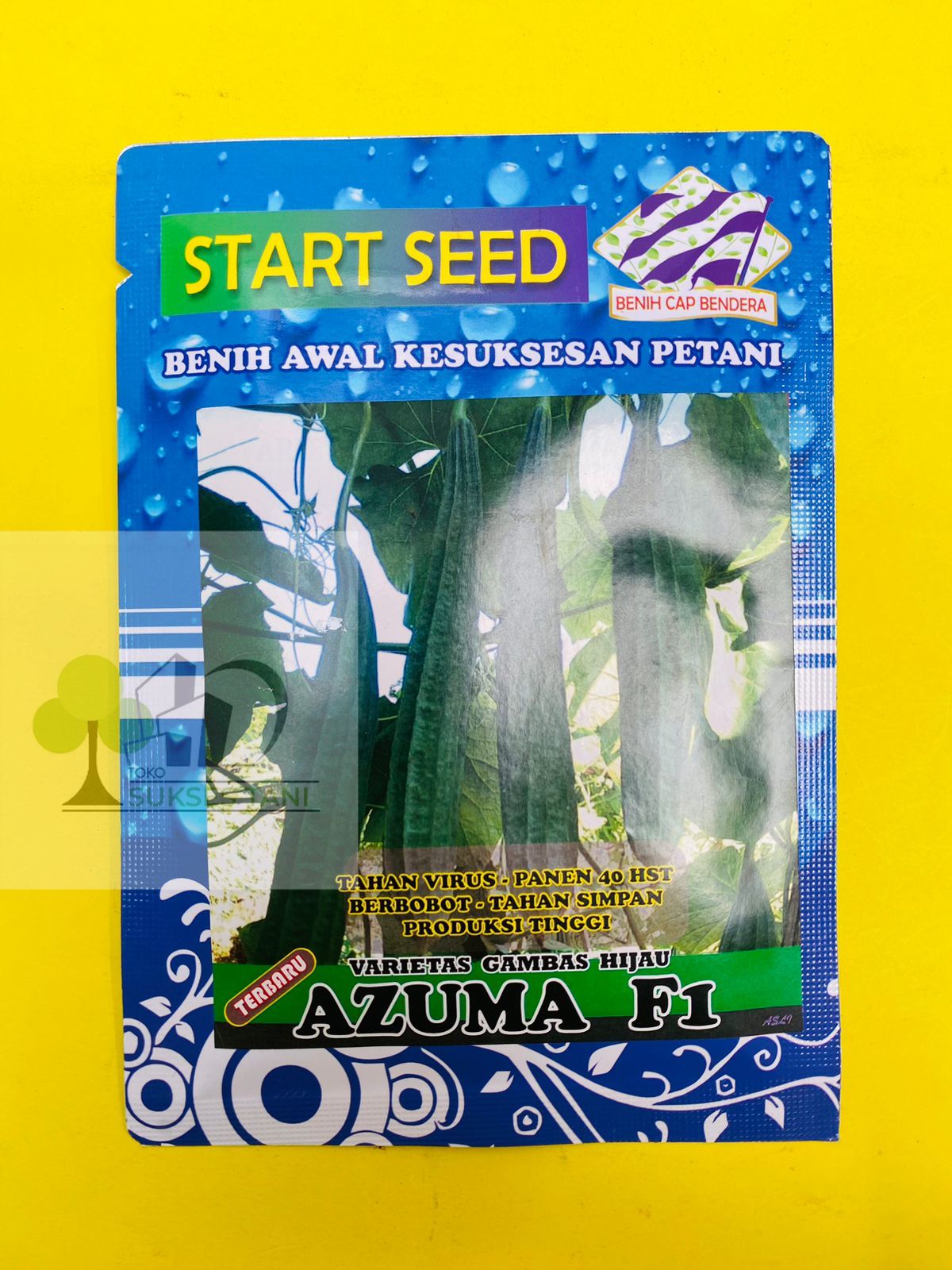Benih Gambas AZUMA F1 isi 80biji dr Start Seed | Lazada Indonesia