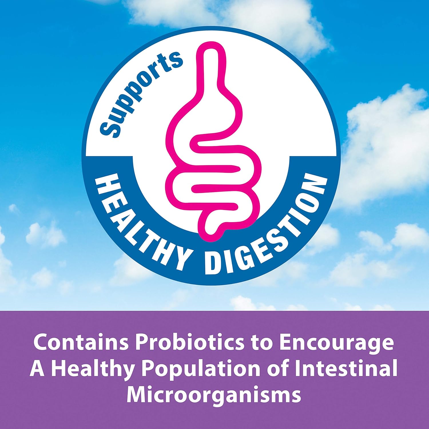 Kaytee Exact Hand Feeding Pet Bird Baby Food For Parrots, Parakeets ...