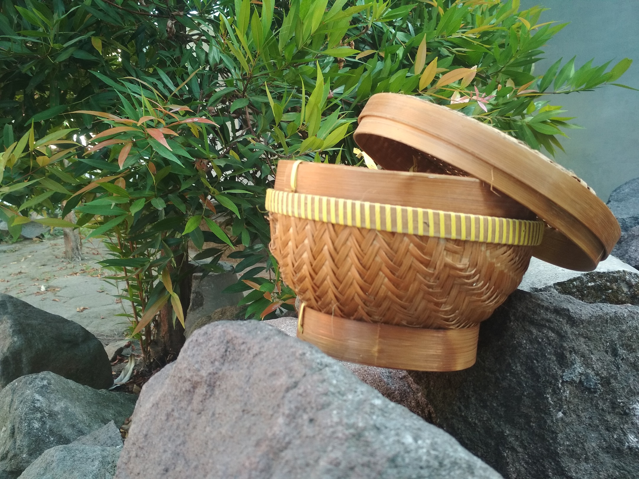 Bakul nasi wakul nasi bambu alami ukuran 15 cm | Lazada Indonesia