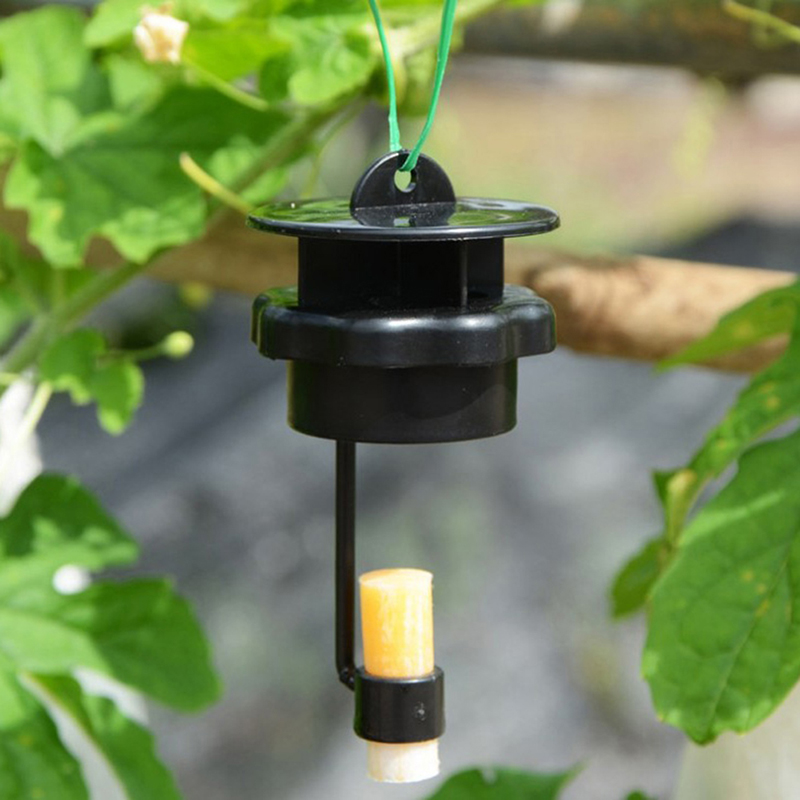 Fruit Fly Trap Killer Plastic Drosophila Trap Fly Catcher With ...