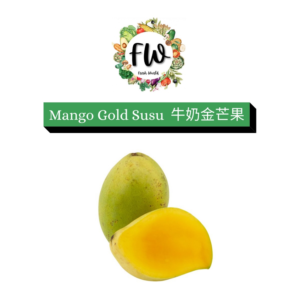 Mango Gold Susu 牛奶金芒果 1PCS/3PCS (350g± - 1kg±) | Lazada
