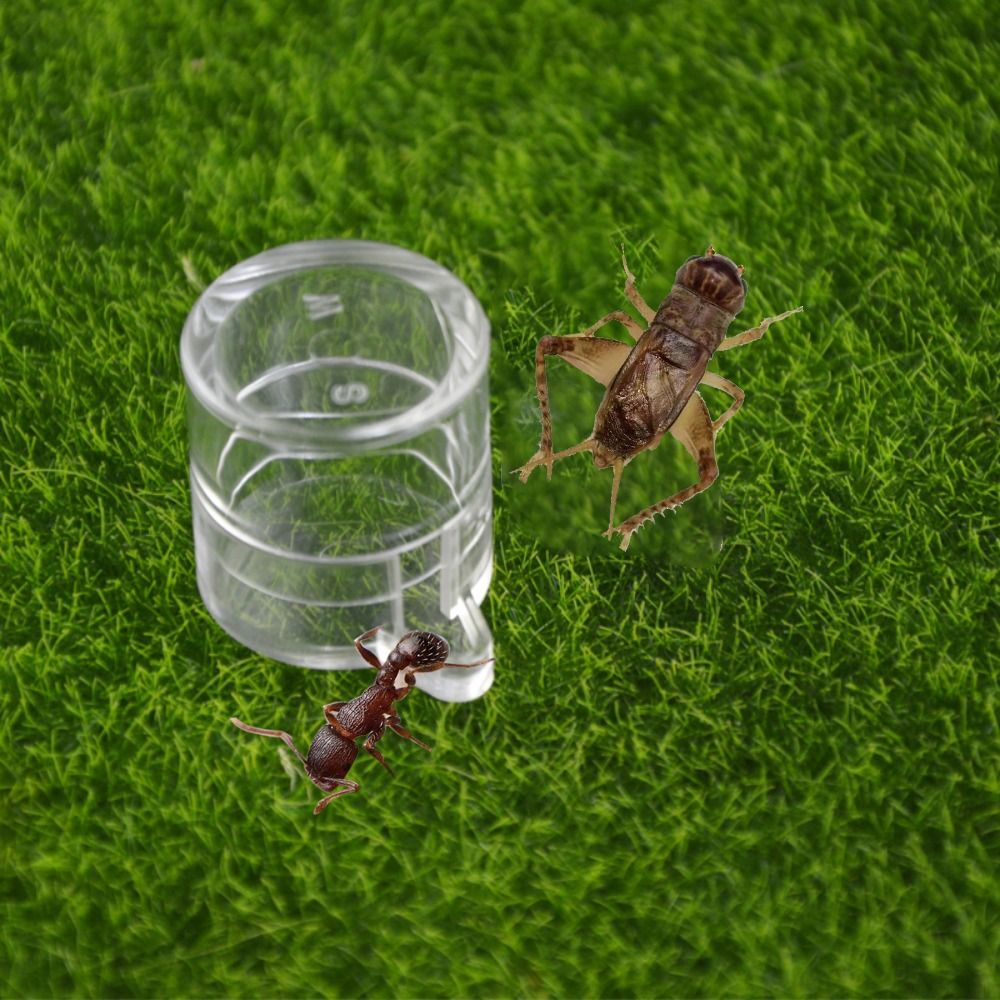 Portable Mini Acrylic Durable Round for Cricket Ant Nest House Ant ...