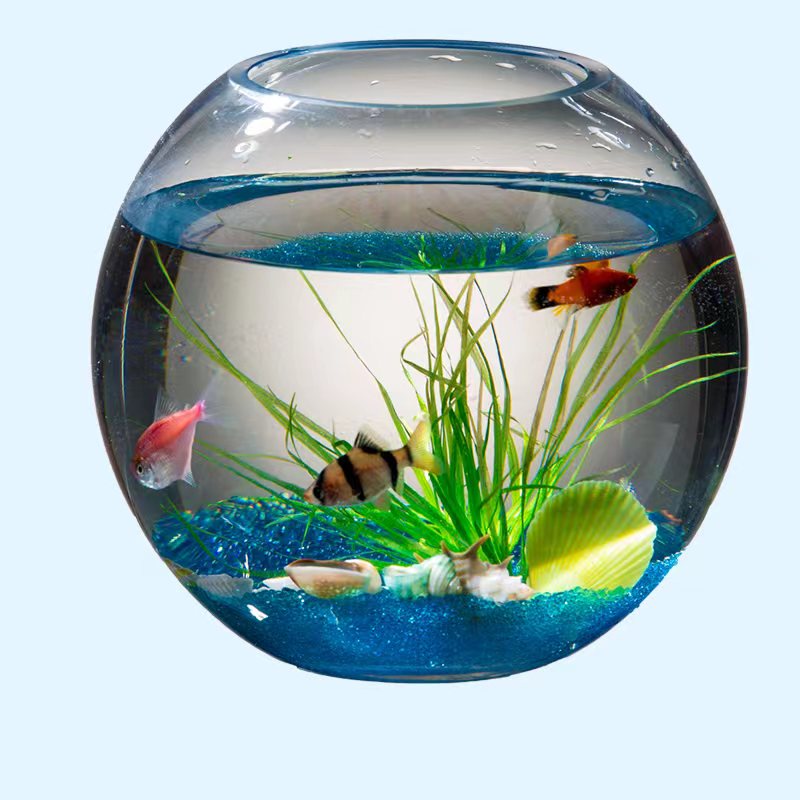 Round Sphere Vase Transparent Glass Fish Tank #12 | Lazada PH