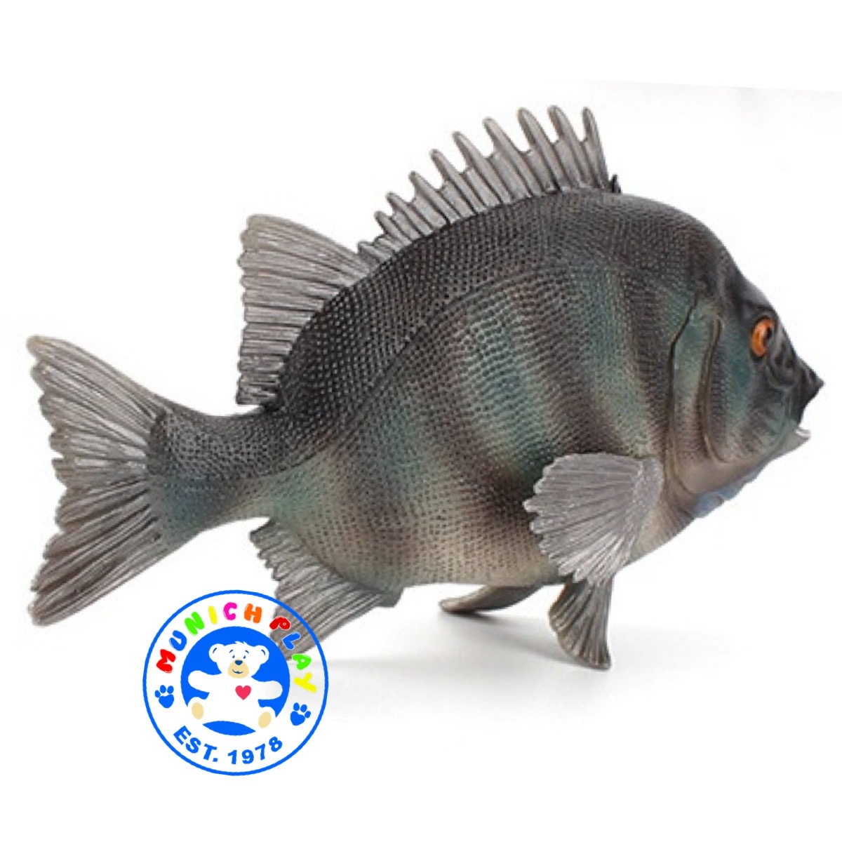 Munich Play - ปลากระพงหิน Snapper Fish ขนาด 17.00 CM (จากหาดใหญ่ ...