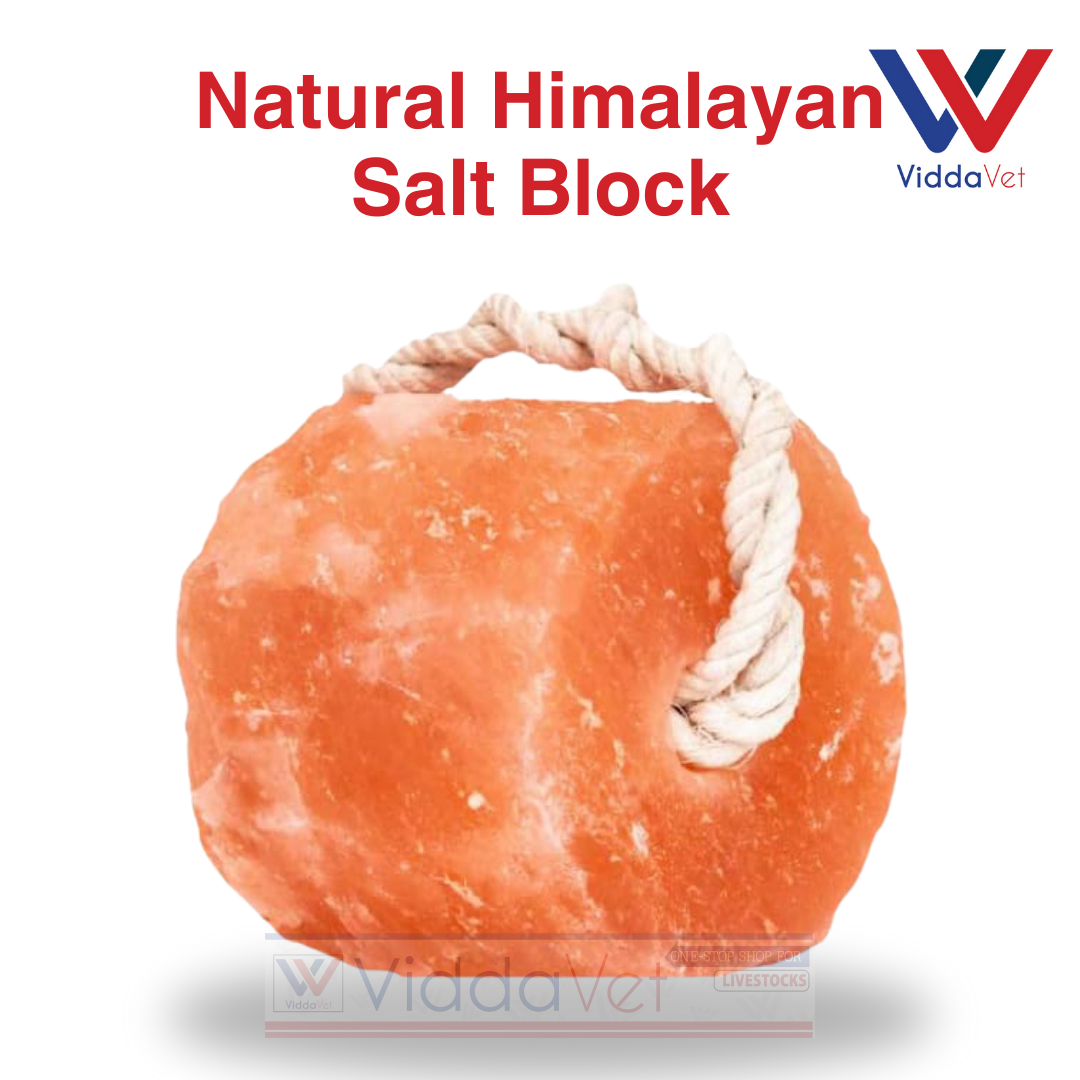 Mineral Block for Livestock - Himalayan Salt Lick for Cattle, Sheep ...