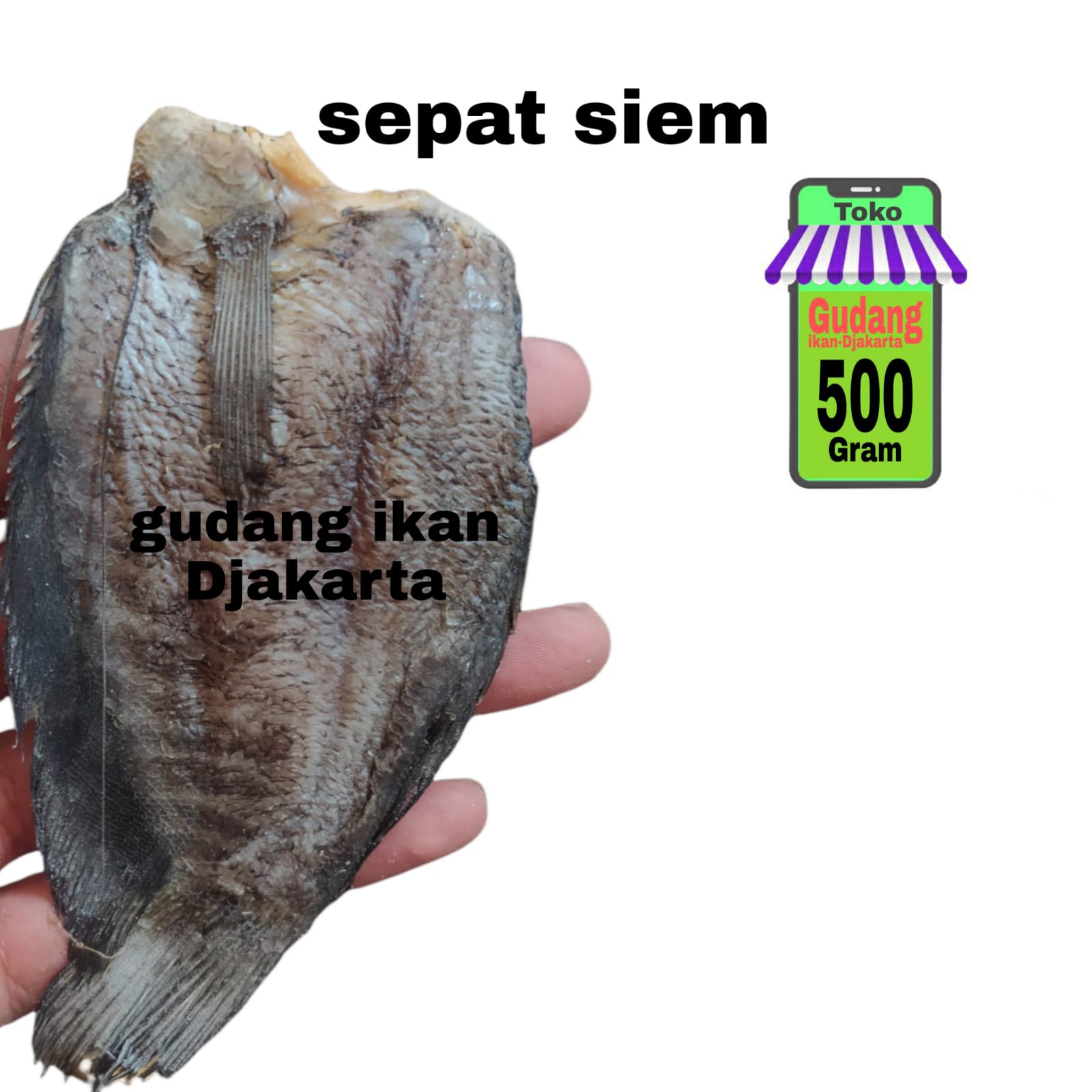 ikan asin sepat siem-500gram | Lazada Indonesia