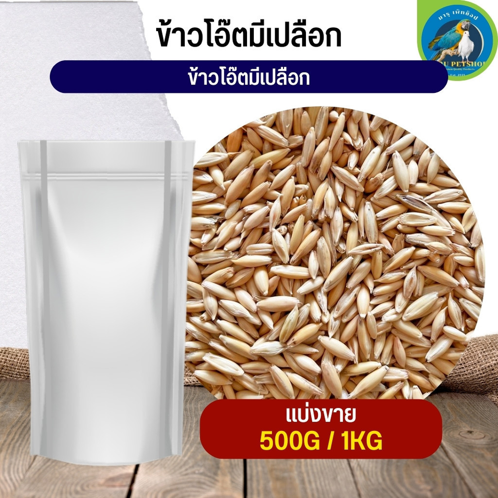 ข้าวโอ๊ตมีเปลือก อาหารนก กระต่าย หนู กระต่าย กระรอก ชูก้า และสัตว์ฟันแทะ (แบ่งขาย 500G 1KG ...