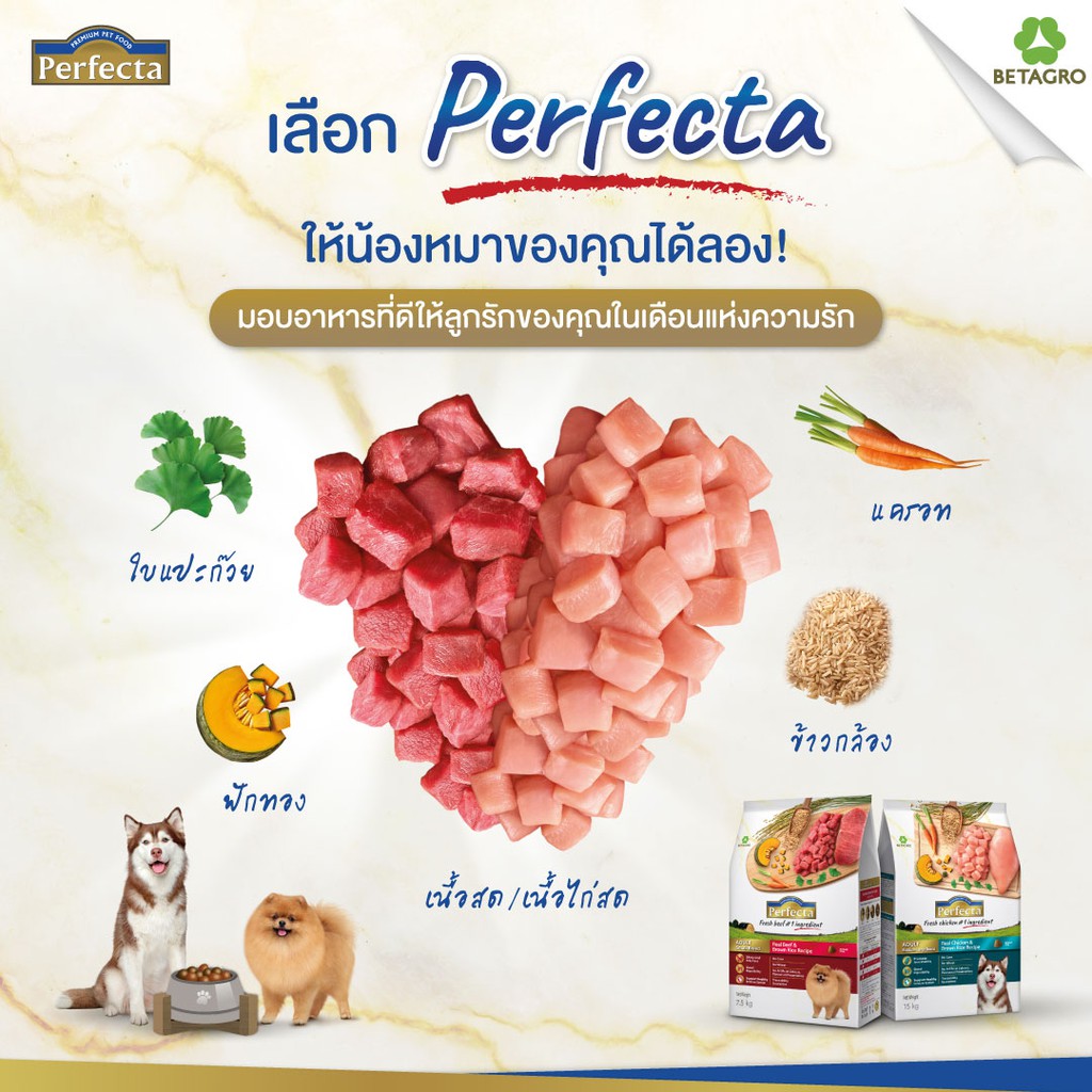 [1ถุง]Perfecta Premiun Dog Food 1 kg/เพอร์เฟคต้าอาหารลูกสุนัข และรสุนัข ...