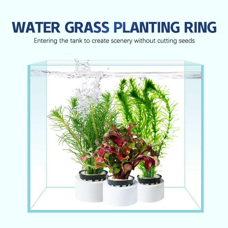 Aquatic Plants Fixed Ring Fish Tank Plants Fix Basket Aquarium ...