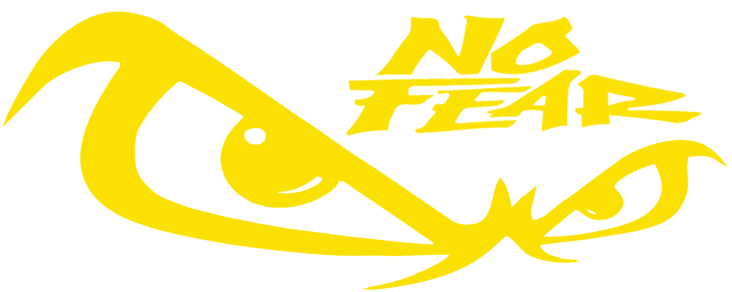 NO FEAR VINYL STICKER | Lazada PH