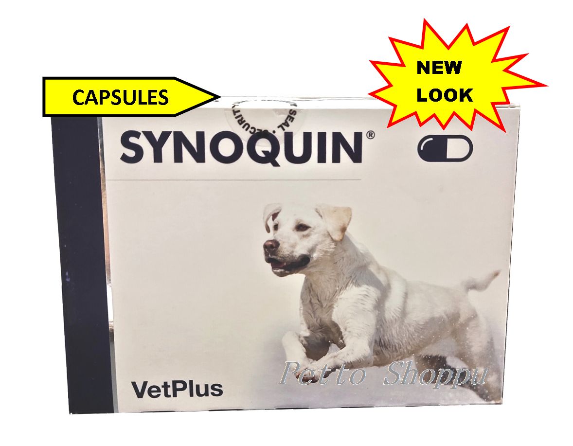Synoquin EFA Large Breed Dog (120x 1.1g CAPSULES) [EXP 06/2024] | Lazada