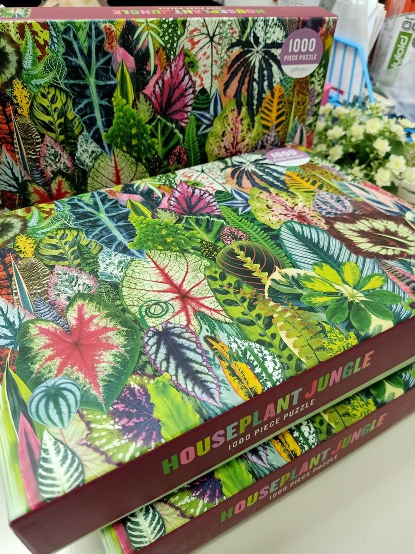 จิ๊กซอว์ 1000 ชิ้น แบรนด์ Galison ลาย Houseplant Jungle - จิ๊กซอว์เอ็นท ...