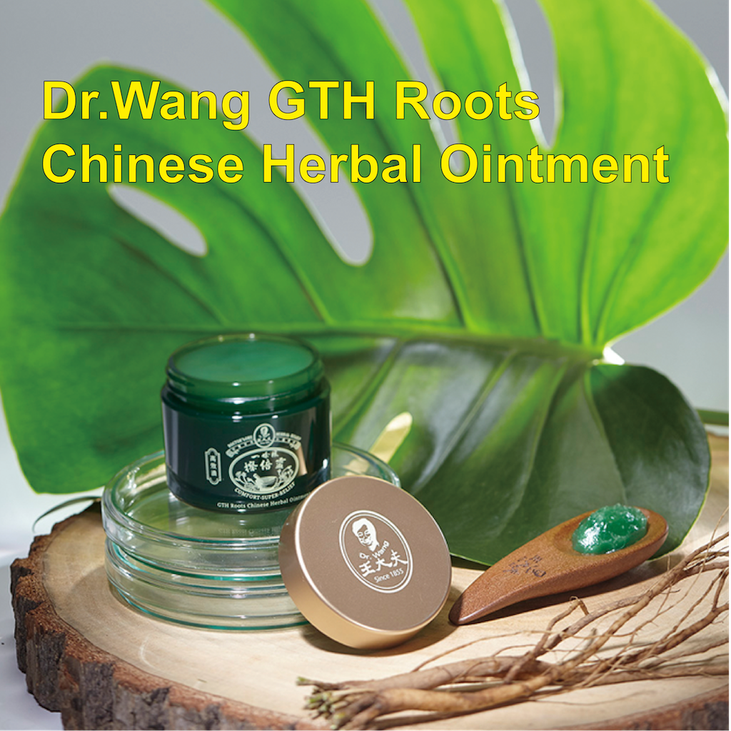 Dr. Wang GTH Root Chinese Herbal Ointment 王大夫一条根擦倍灵油膏 | Lazada Singapore