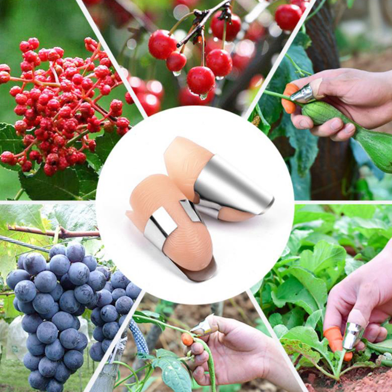 Portable Finger Cover Harvesting Pruning Pick Separator Vegetable Thumb ...
