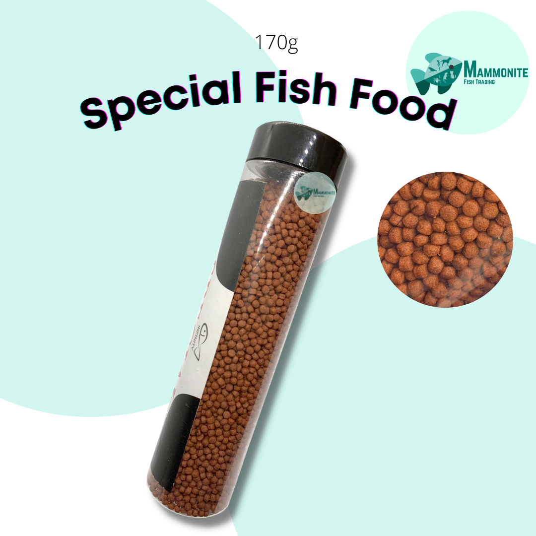 Aquarium Tropical Special Fish Food Pellets 220g 170g | Lazada PH