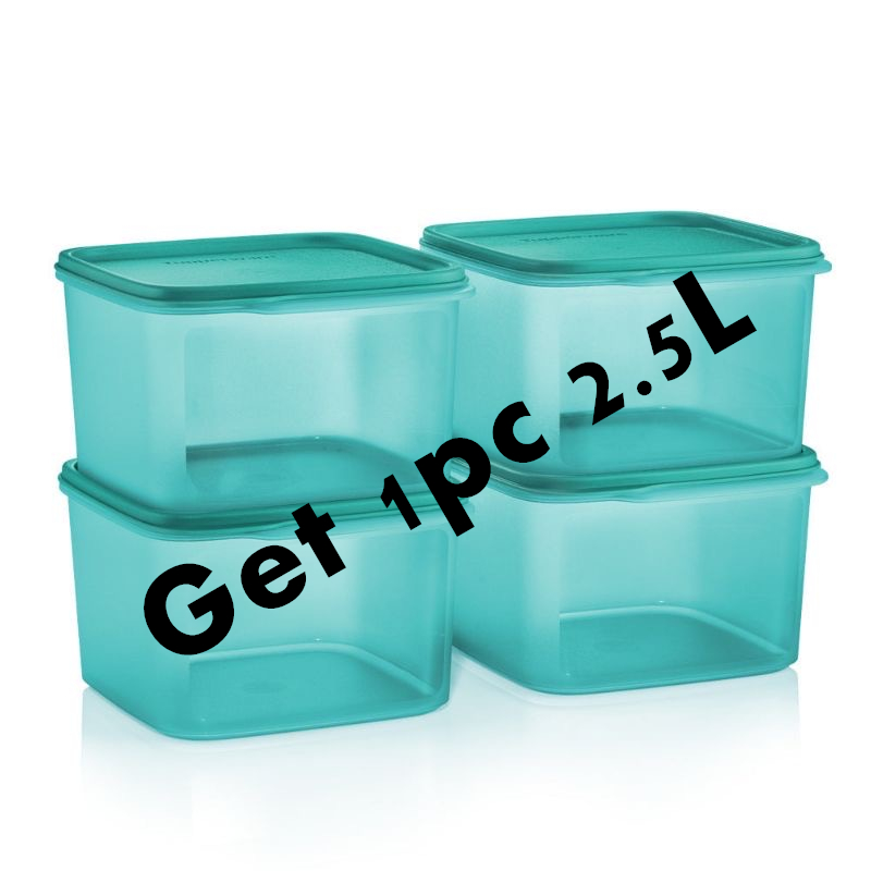Tupperware Smart Saver Set/ Smart saver square/ smart saver oval/ food ...