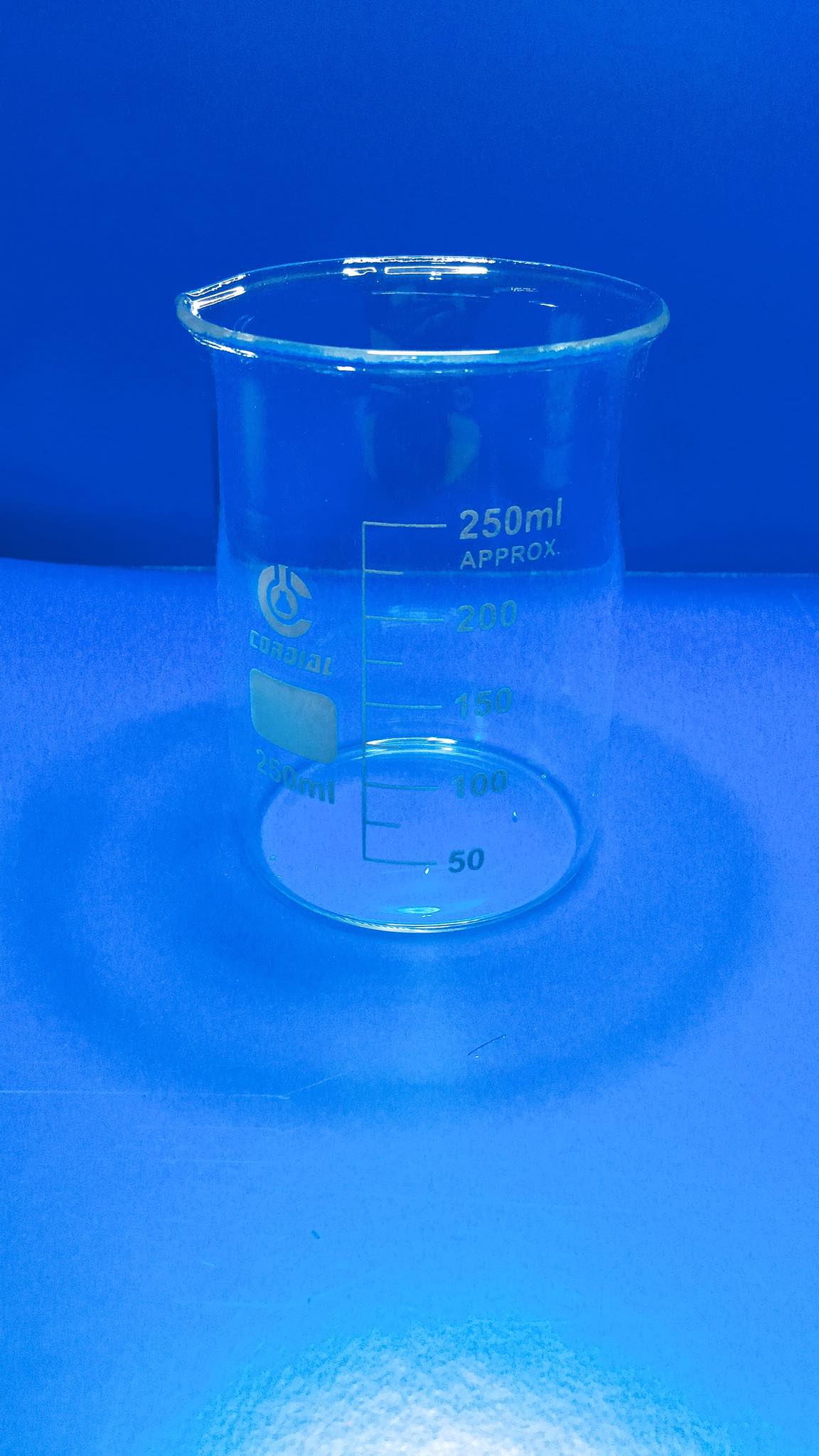 250ML GLASS BEAKER LOWFORM Borosilicate Glass | Lazada PH