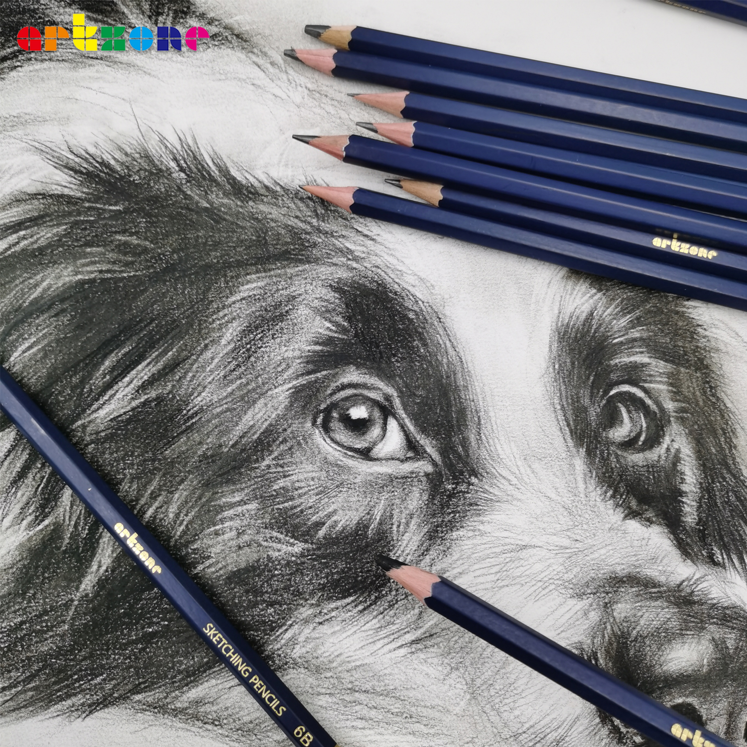Professional Drawing Sketching Pencil Set, 12pcs Graphite Pencils, 6H ...