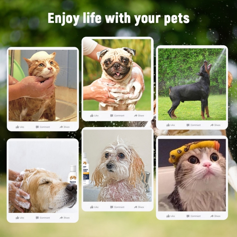 10oz Dog Shampoo Conditioner for Cats Dander-Allergy Remover Reducing ...