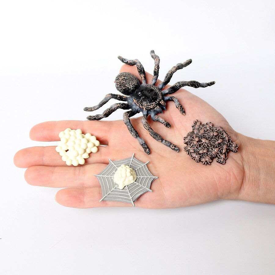 Simulation Life Cycle Figurines Of An Ant,Mosquito,Spder,Tarantula Life ...