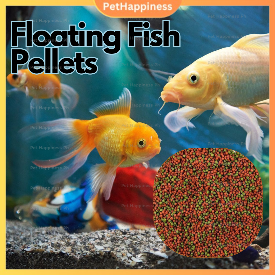 1 Kilo Floating Fish Pellets Premium Red And Green Floating Type Pellet ...
