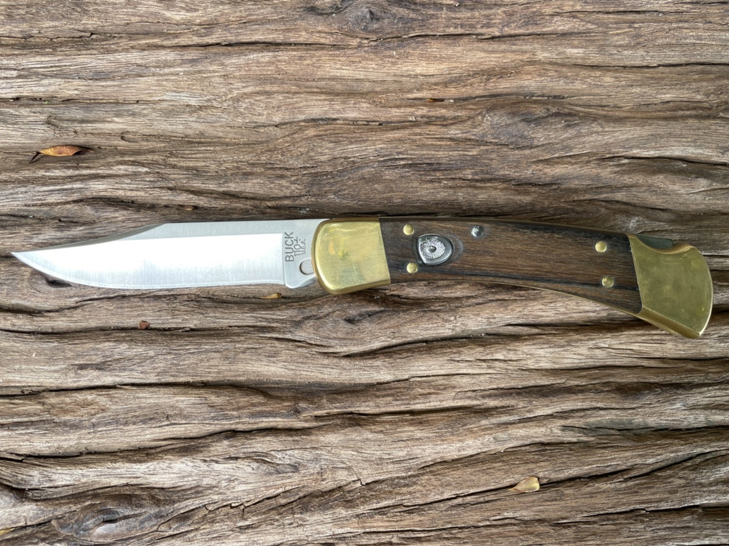 Buck 110 Folding Hunter Automatic (0110BRSA-CAT.11197)#มีดพับออโต้ ...