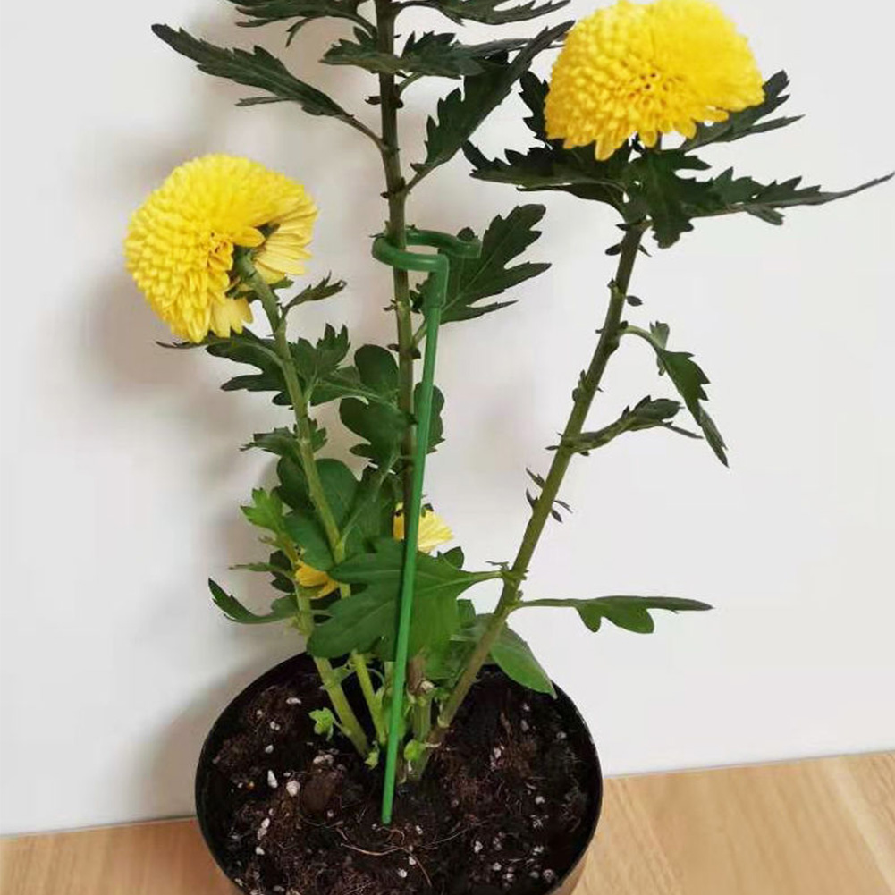 Single Stem Support Stake Fall-Proof Flower Stand Potting Style Support ...