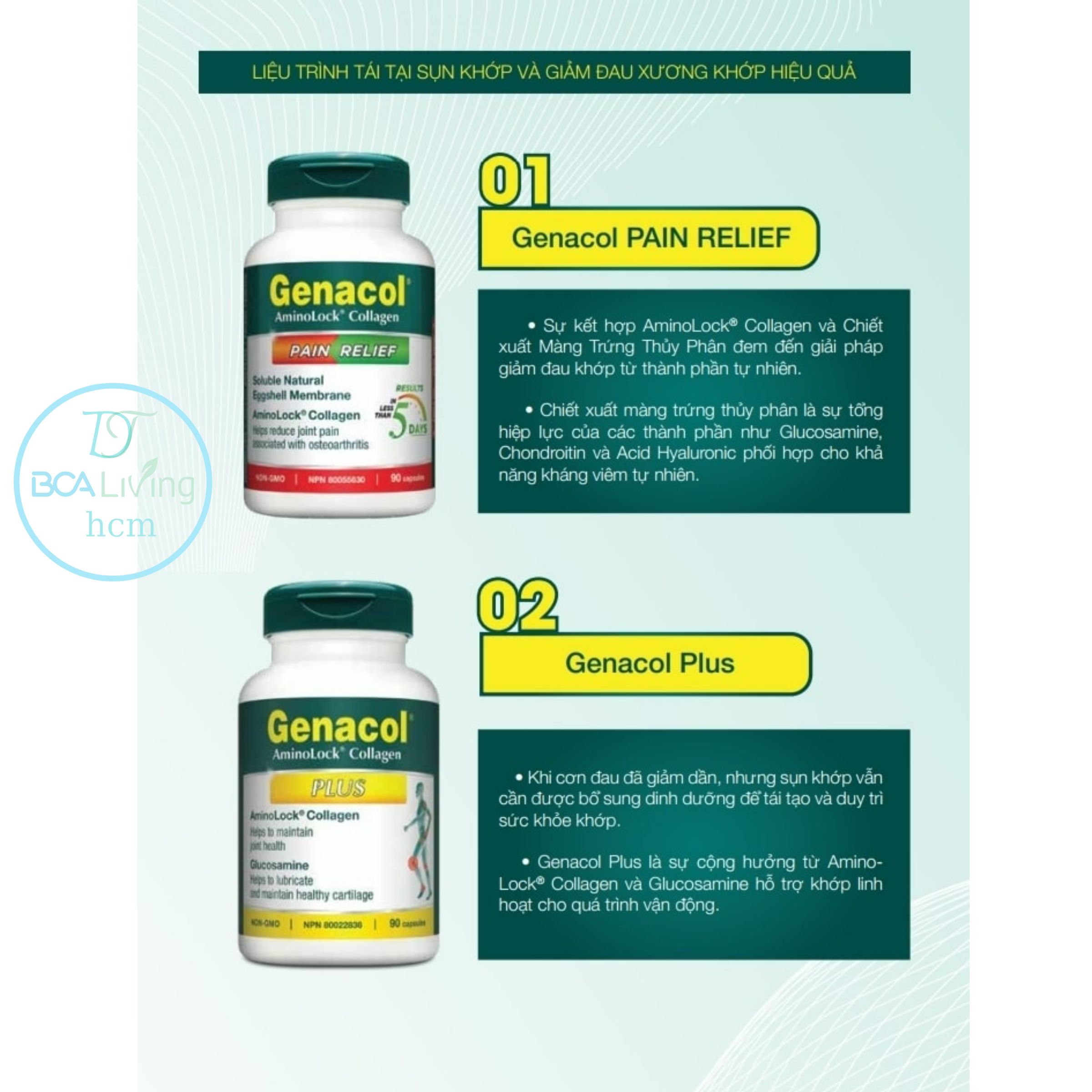 Thực phẩm bảo vệ sức khỏe Genacol Plus - HAMY Savipharm.com