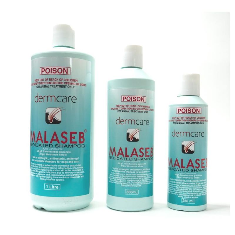Dermcare Malaseb Medicated Shampoo | Lazada Singapore