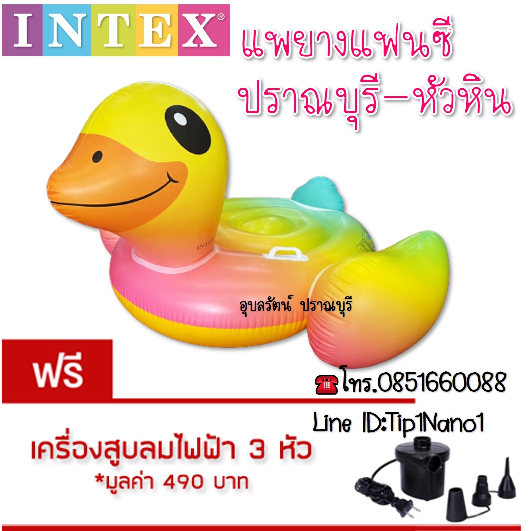 INTEX แพเป็ดน้อย รุ่น 57556 สีเหลืองรุ่นใหม่ | Lazada.co.th