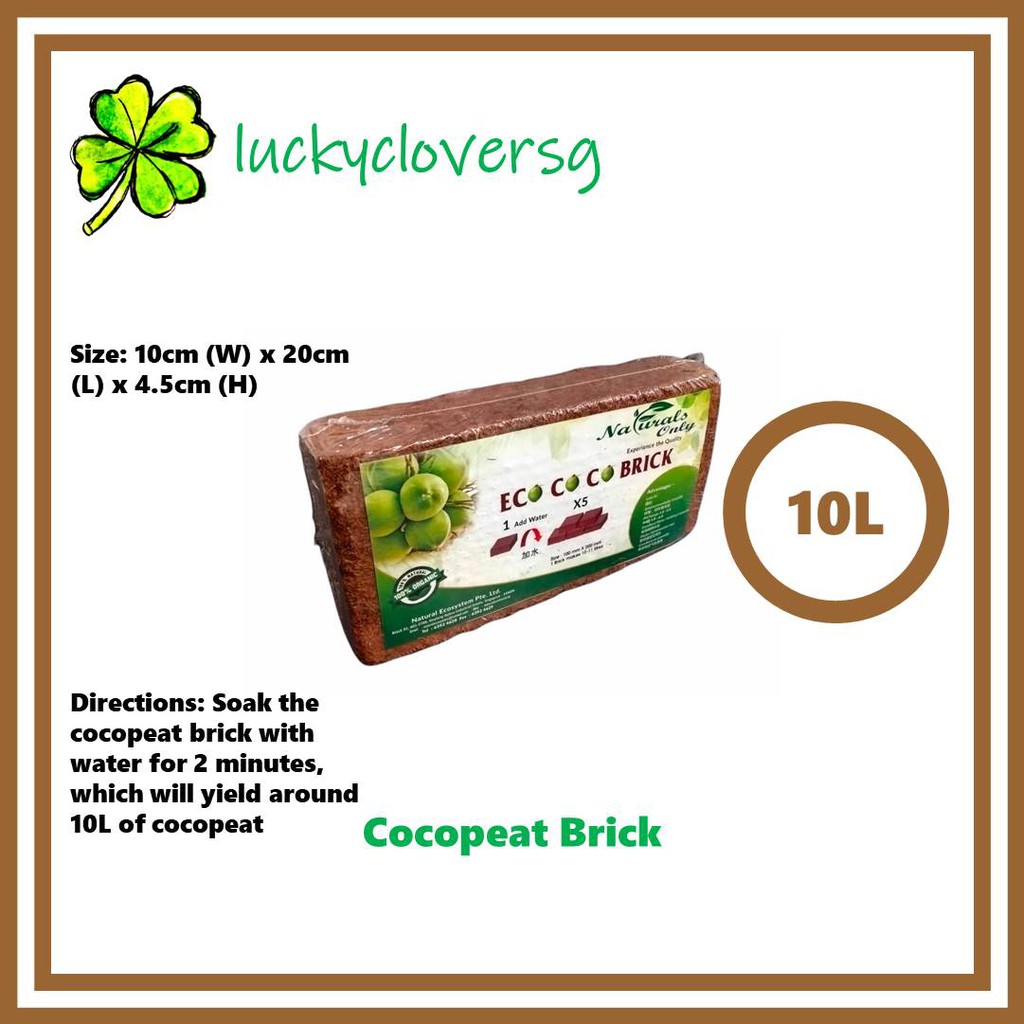 4l 8l Cocopeat Cocochip Coco Coir Fibre Coconut Chip Chips