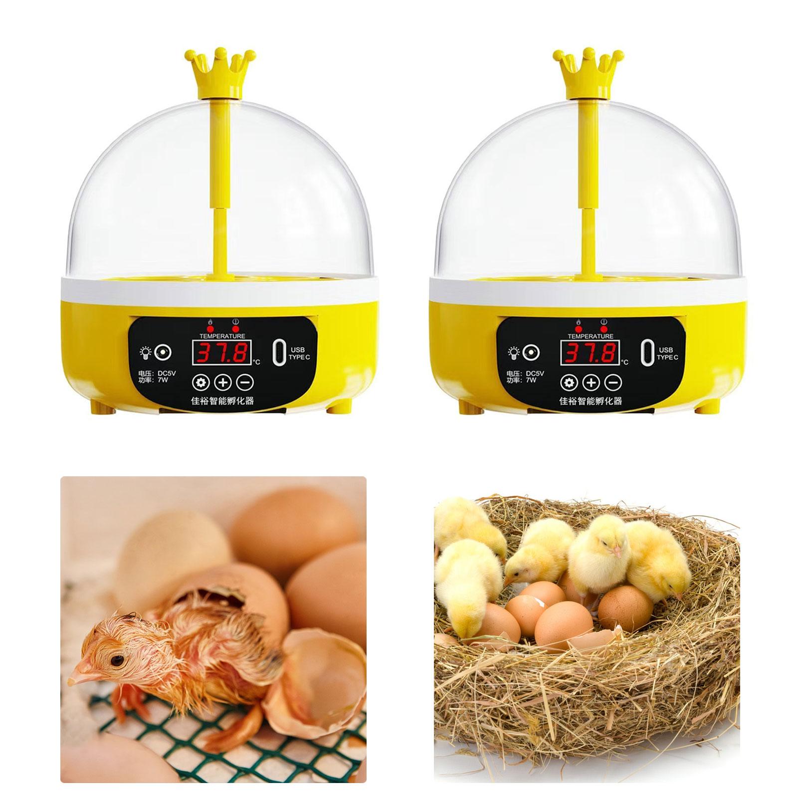 【World Supermarket 2021】Egg Incubator Poultry Hatcher Portable Control ...