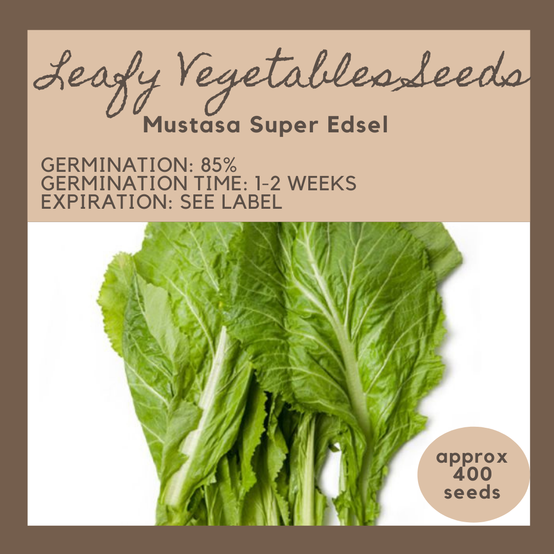 Super Edsel Mustasa Seeds Vegetable Seed 400pcs per pack | Lazada PH