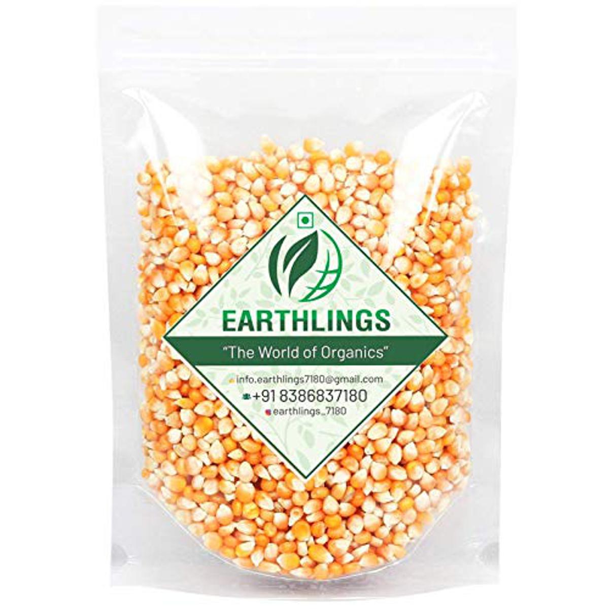 Golden Popping Corn (Gourmet Popcorn Kernels) 500 GM | Daraz.pk