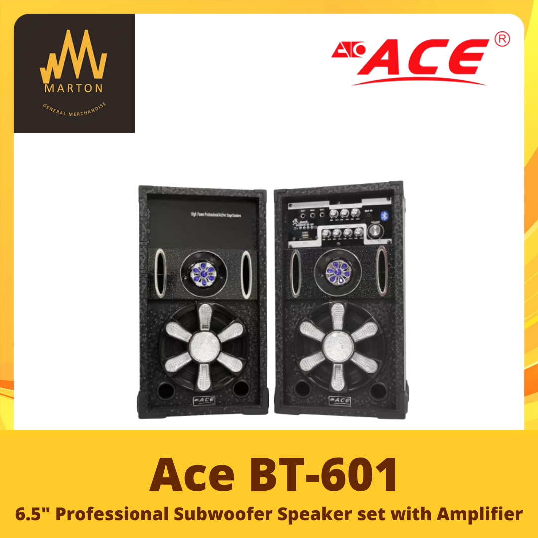Ace BT-601 6.5" Professional Subwoofer Speaker with Amplifier | Lazada PH