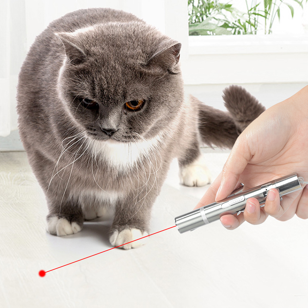 【Shop Now and Save】 Usb Charge 3 In 1 Led Pointer Pen Red + White Led ...