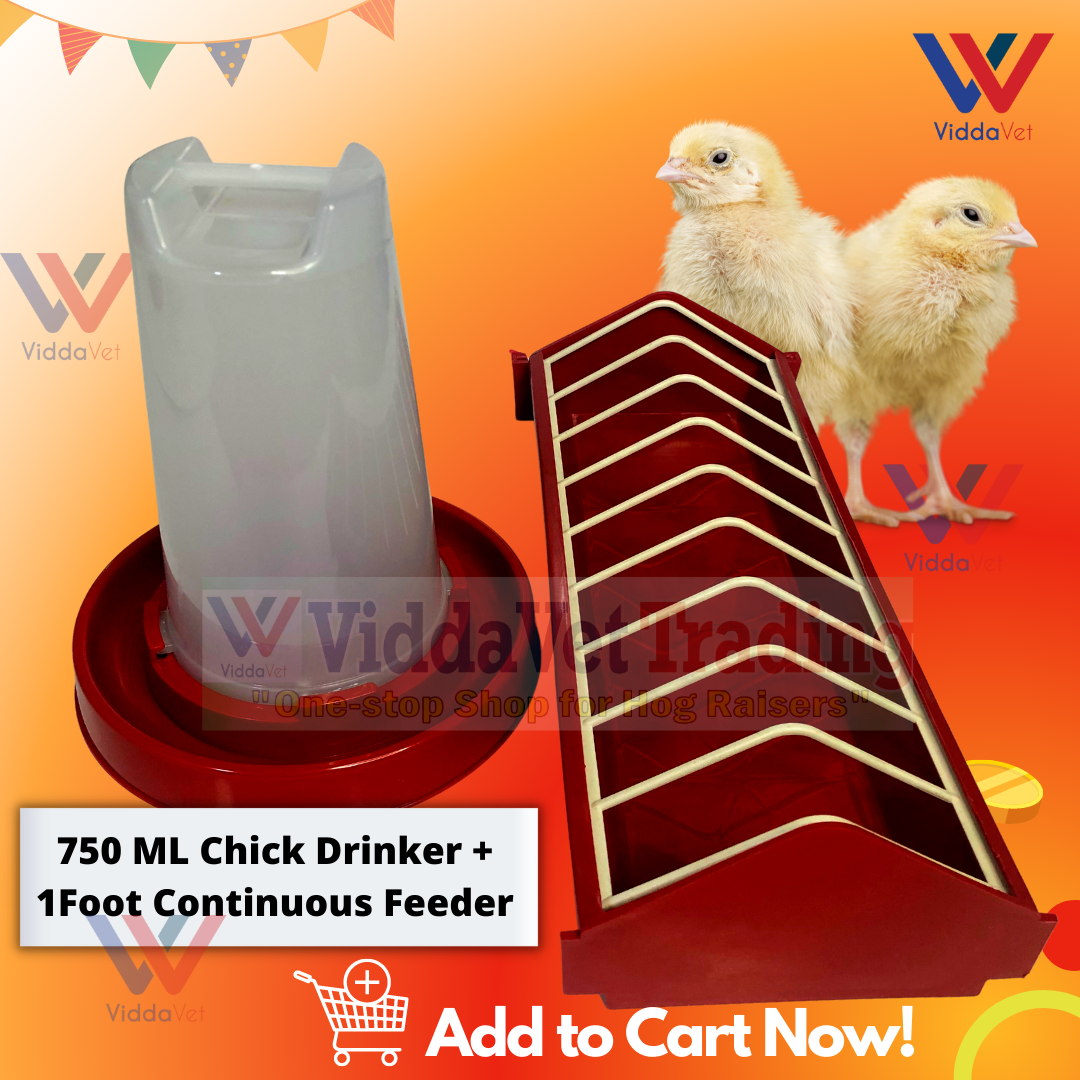 [FEEDING SET] 1 ft Chicken Feeder + 750 ml Drinkers Drinking Equipment ...