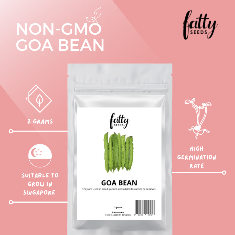Fatty Seeds Goa Bean | Lazada Singapore