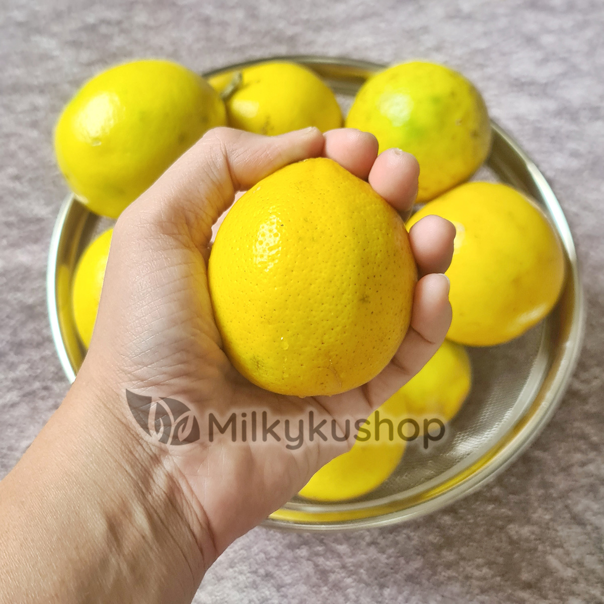 BUAH LEMON CALIFORNIA LOKAL BERAT 1 KG | Lazada Indonesia