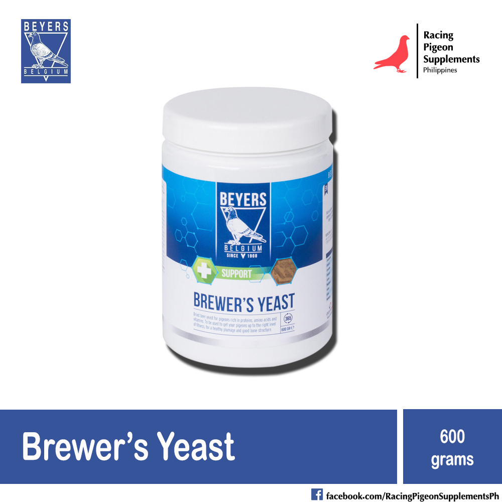 Beyers Plus Belgium - Brewer's Yeast (REPACKED 100g)-Supplement for ...