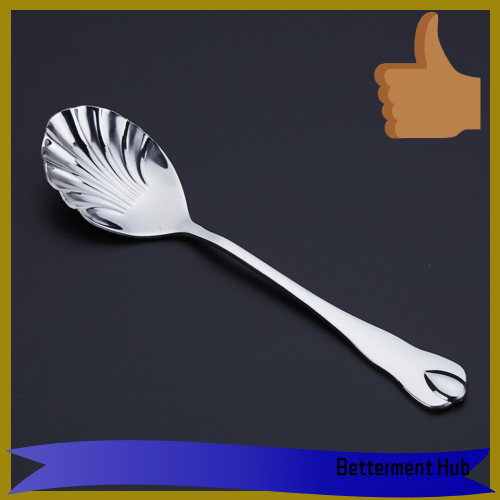 Stainless Steel Rice Spoon with Shell Shape Design, Strong and Sturdy ...