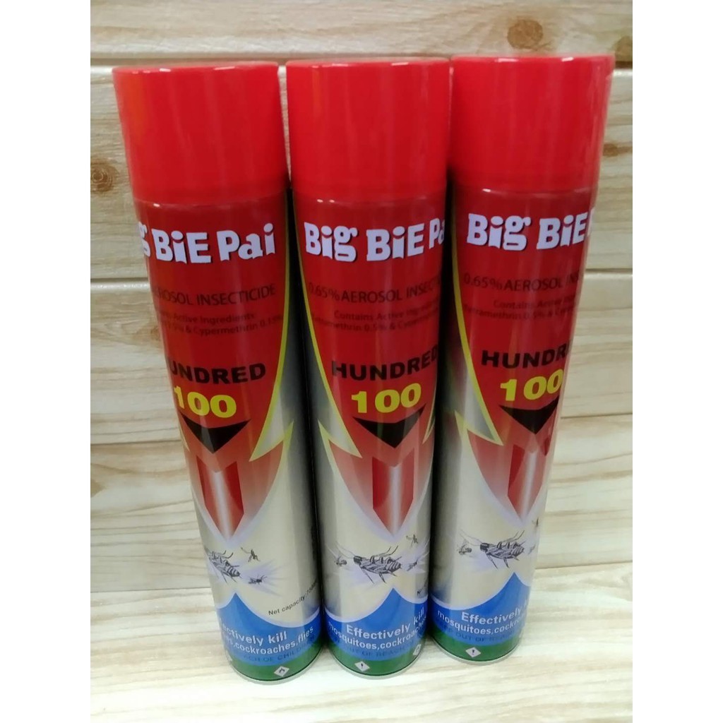 Insect spray mosquito killer big bie pai | Lazada PH