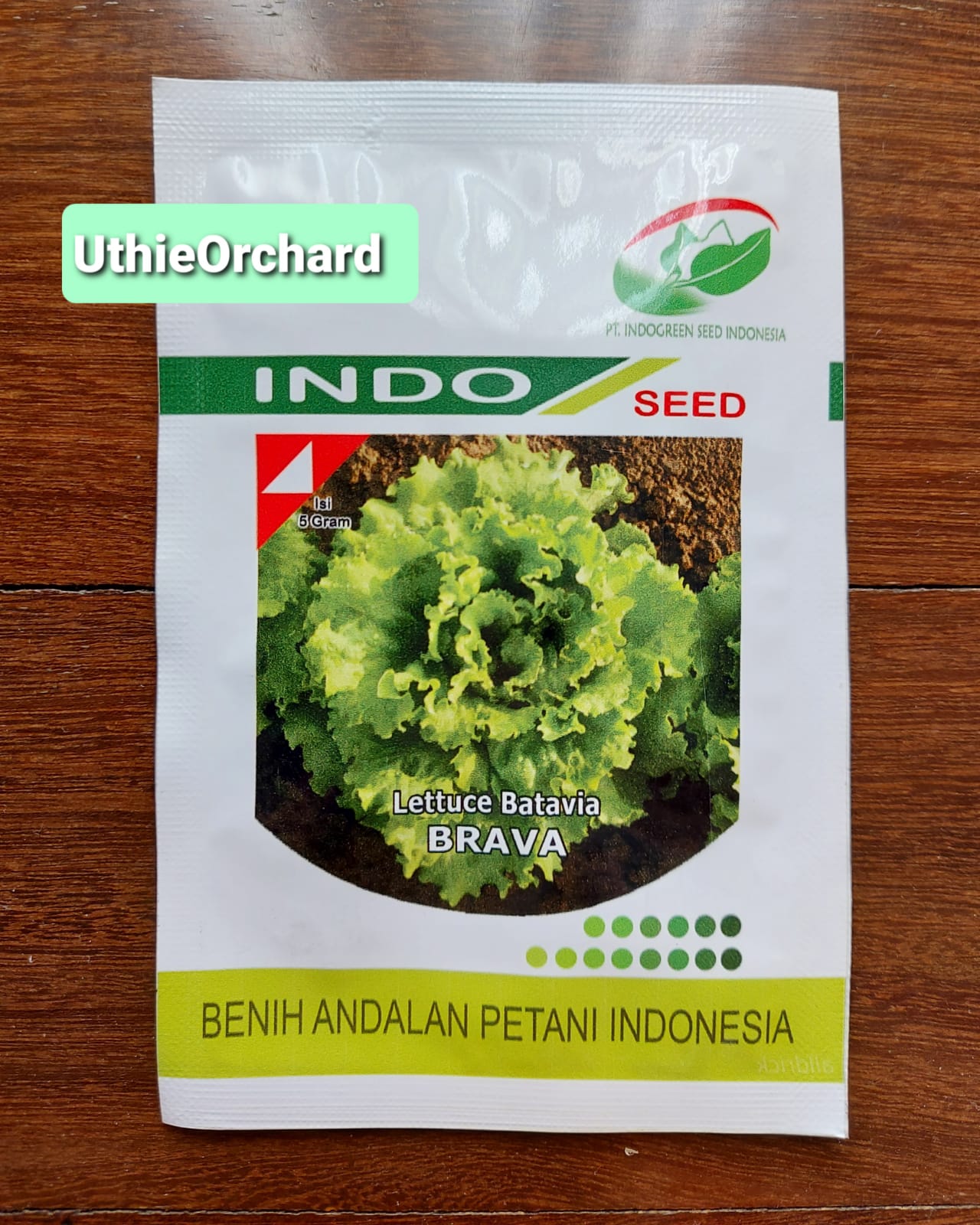 Benih Indo Seed - Selada Batavia Brava Kemasan 5 gr | Lazada Indonesia