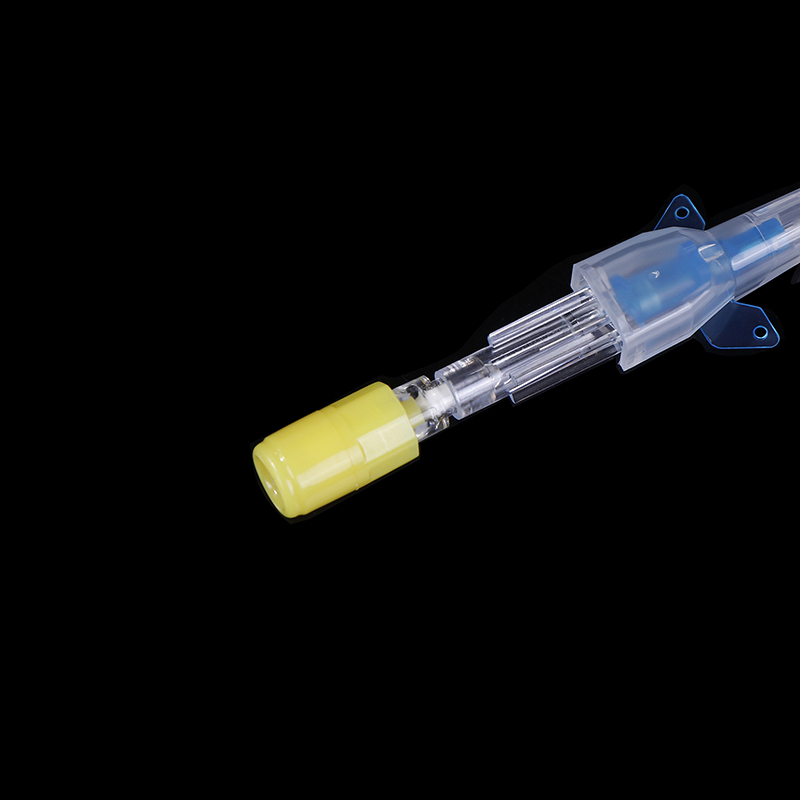 Disposable Animals IV Cannula Intravenous Injection Catheter With Wing ...