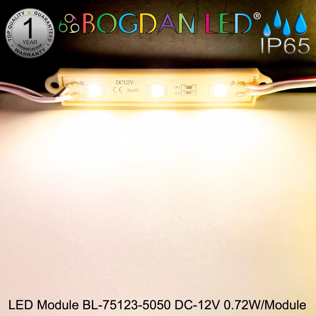 LED Module BL-75123-5050 DC-12V 0.72W/Module 14.4W/Panel โมดูลกันน้ำ ...