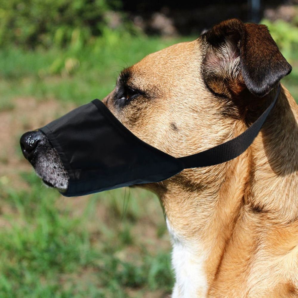 Dog Mouth Guard Cover Adjustable Anti Bite Dogs Muzzles Polyester Soft ...