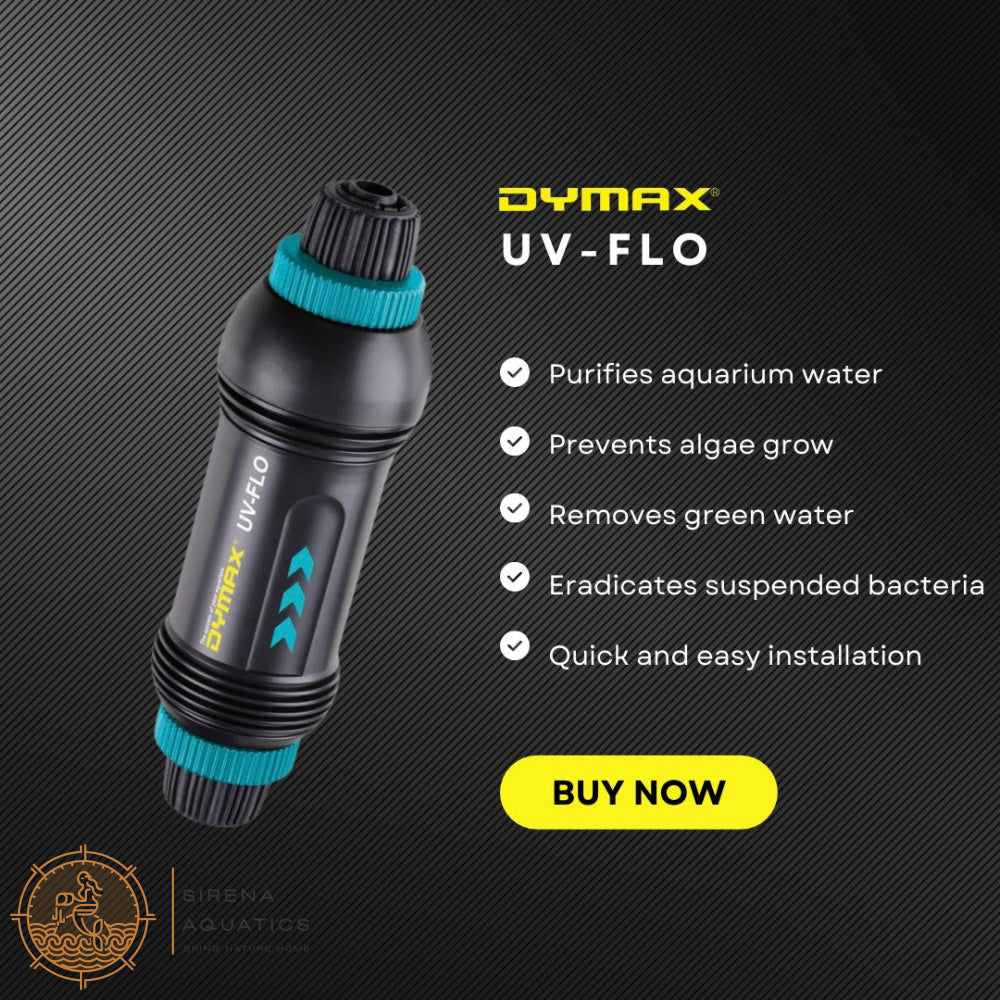 DYMAX UV-FLO 5W (12/16mm) - Efficient UV Sterilizer for Aquariums | Lazada PH