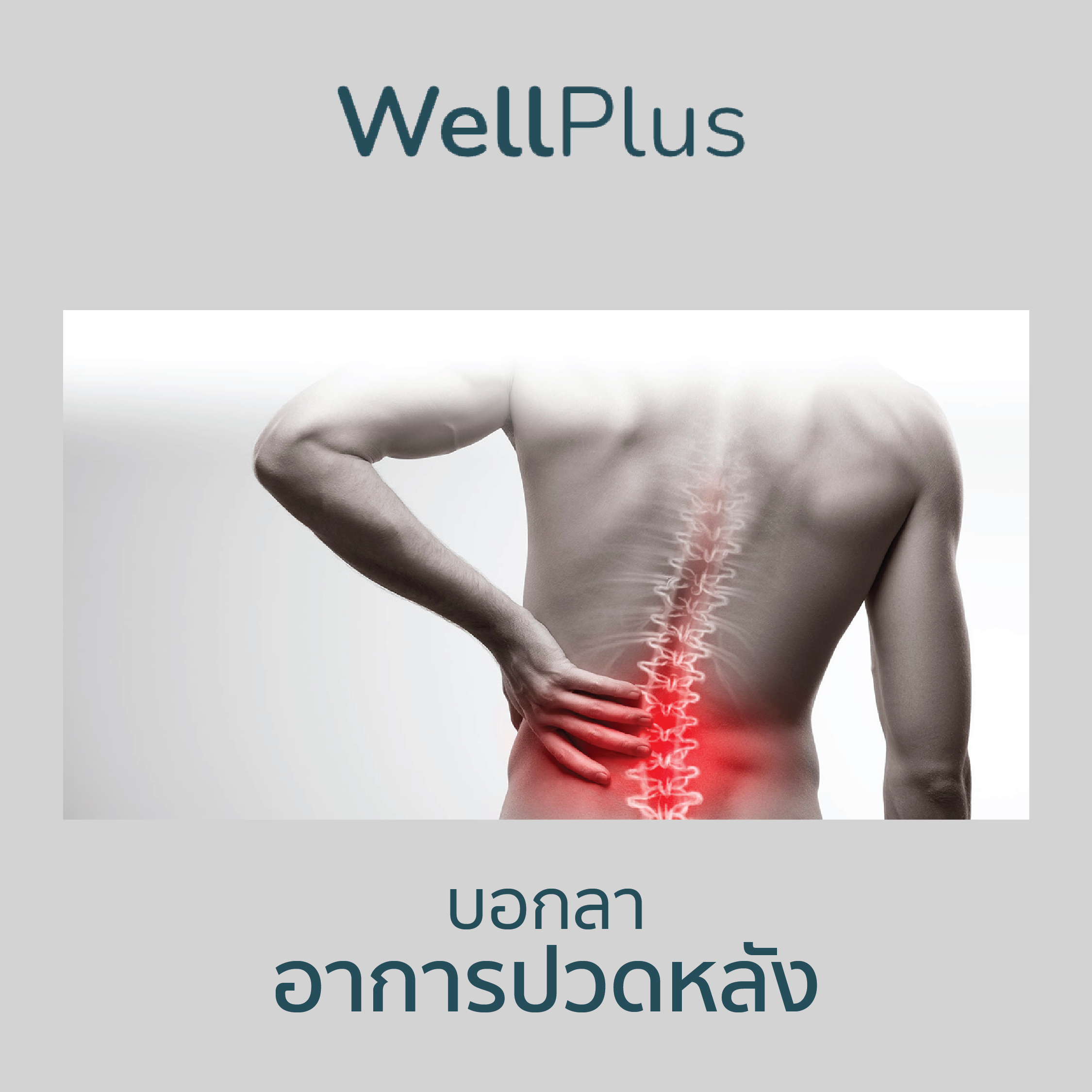 WellPlus [ส่งฟรี] ที่นอนยางพารา 3นิ้ว Topper Snow ท็อปเปอร์ ทอปเปอร์ ...