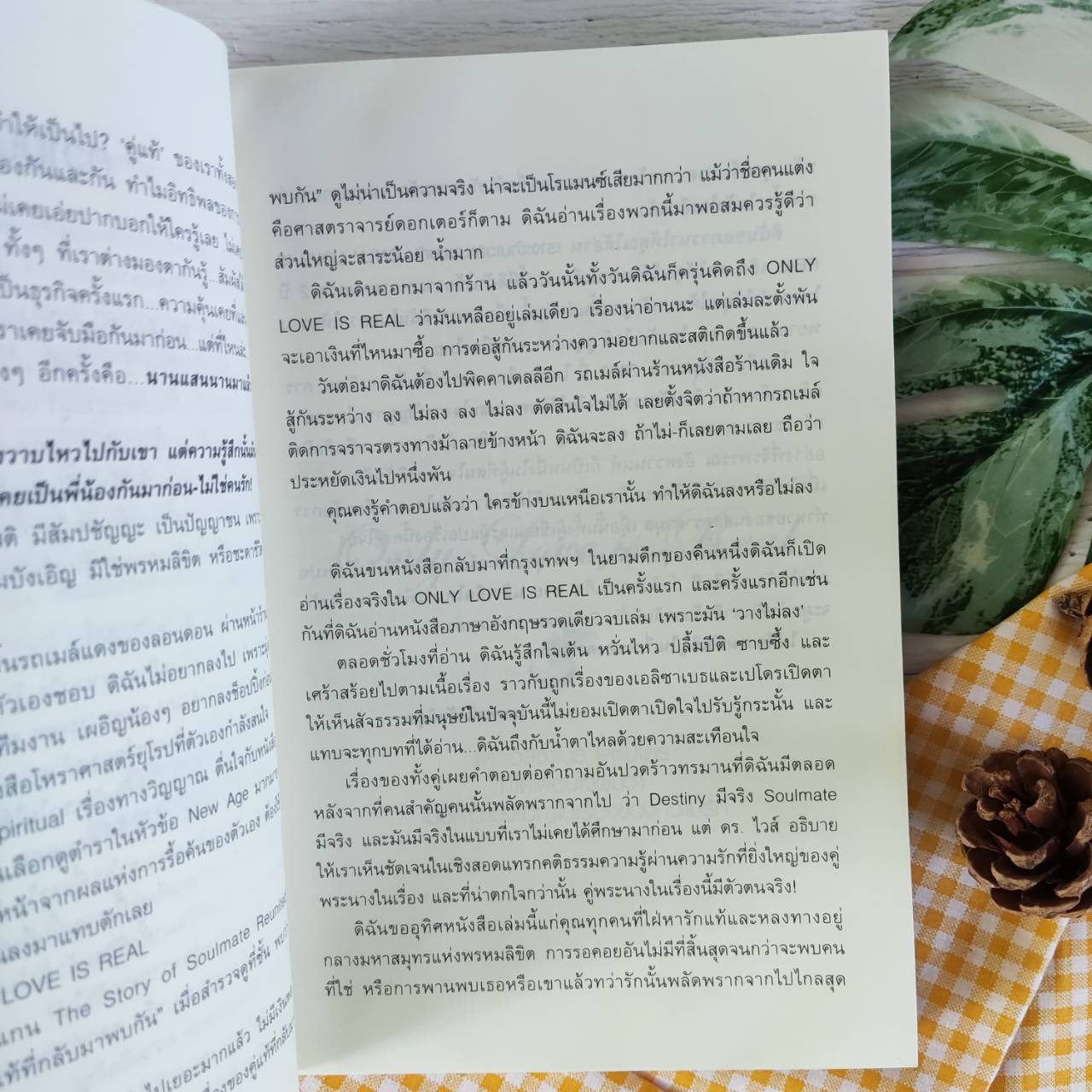 หนังสือนิยาย วรรณกรรม เราจะข้ามเวลามาพบกัน Only Love Is Real Brian L ...